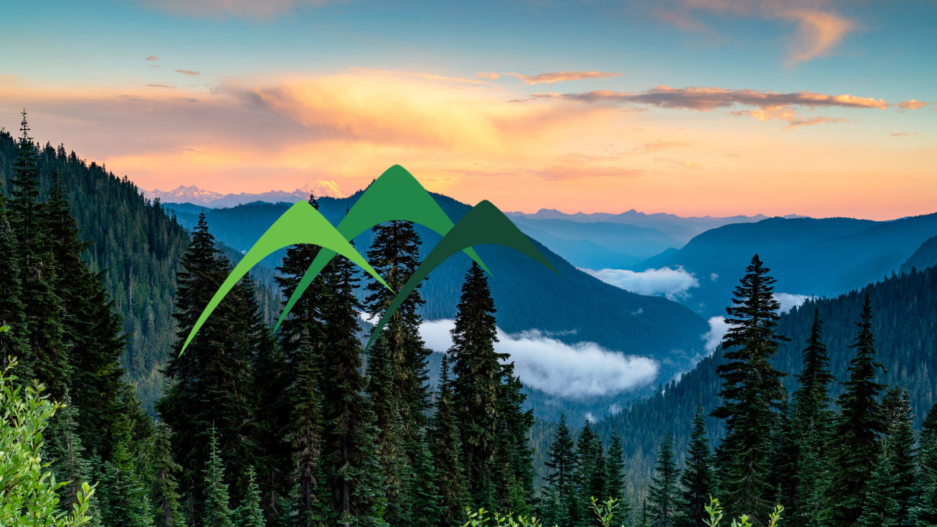 Design, Logo und CI-Richtlinien für den Nationalpark Schwarzwald